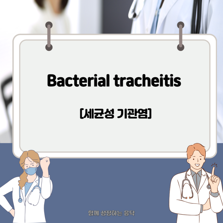 Bacterial tracheitis (세균성 기관염) : 네이버 블로그