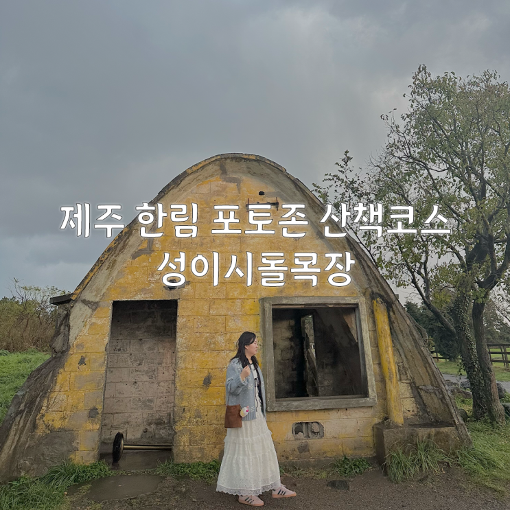 제주 한림 가볼만한곳 유명한 테쉬폰 포토존 및 카페 미스터밀크 성이시돌목장 네이버 블로그