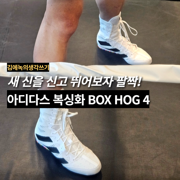 '제니 복싱화' 말고, '아디다스 복서 호그 4, Boxer Hog 4' | 복싱 입문 복싱화 추천 : 네이버 블로그