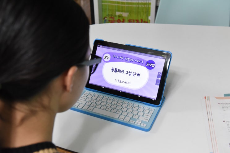 중학교 학업 성취도평가 대상 교육 및 범위 준비 방법 네이버 블로그