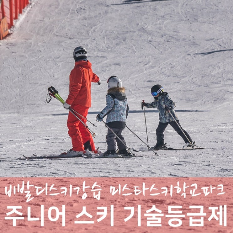 스키장 개장 비발디파크 스키강습 주니어 기술등급제 정보 네이버 블로그