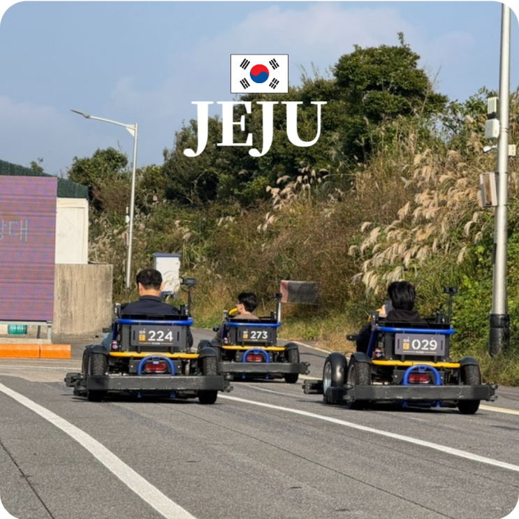 제주도 실내 놀거리 981파크에서 레이싱 즐기기 애월 가볼만한곳 : 네이버 블로그