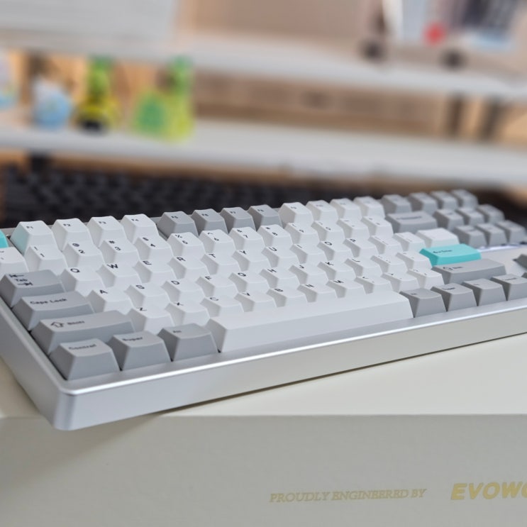 스웨그키 EVO80 정발 내돈내산 구매 후기 (oat 축/Nimbus) : 네이버 블로그