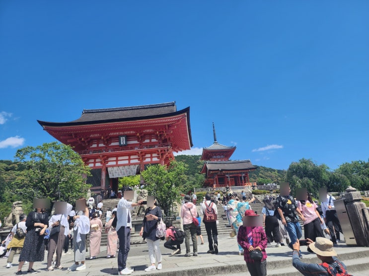 대학원 입학, 누구는 서류 탈락 누구는 합격! 솔직히 잘 모르겠다. : 네이버 블로그