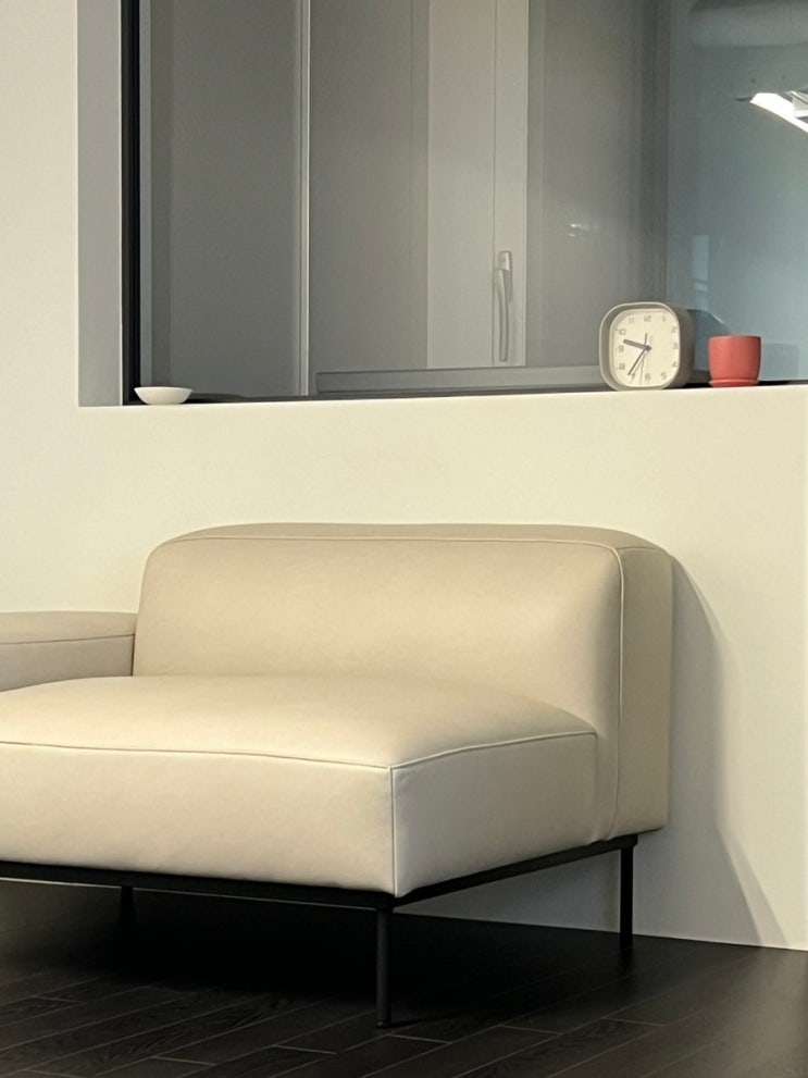 건축가부부의 집꾸미기 1. [소파] 잭슨카멜레온 디바인 : 네이버 블로그