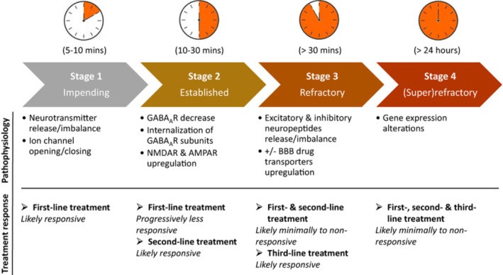 미국 수의내과학회 간질 치료 지침 2015 ACVIM consensus statement + 2019 VIN : 네이버 블로그
