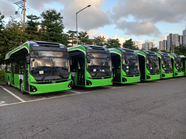 대원교통 ELEC COTY II PEV 24" 신차출고 : 네이버 블로그