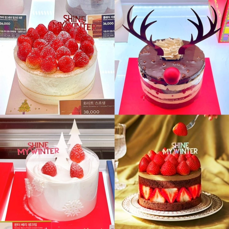 투썸플레이스 케익 메뉴 스초생 프레지에 투썸 크리스마스 케이크 예약 : 네이버 블로그