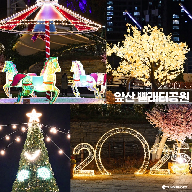 대구 겨울 가볼만한곳 앞산 빨래터공원 겨울정원 크리스마스 축제 산타마을 해넘이 전망대 주차장 네이버 블로그