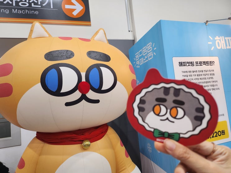 [집사의 외출] 고양이 집사들의 축제 '궁디팡팡 캣페스타 31th' : 네이버 블로그