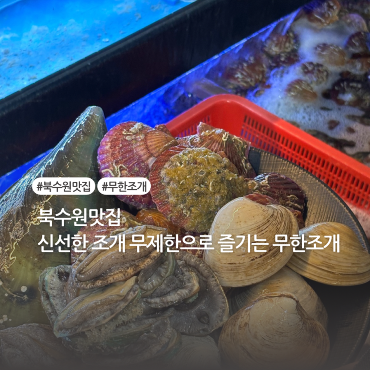 북수원맛집 신선한 조개구이 무제한으로 즐기는 무한조개 네이버 블로그