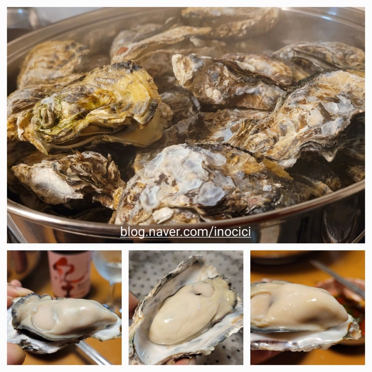 굴찜 석화를 마지막 한알까지 탱글탱글하게 찌는 방법 맛있는 굴찜하는 방법 석화찜 맛있게 먹는법 네이버 블로그