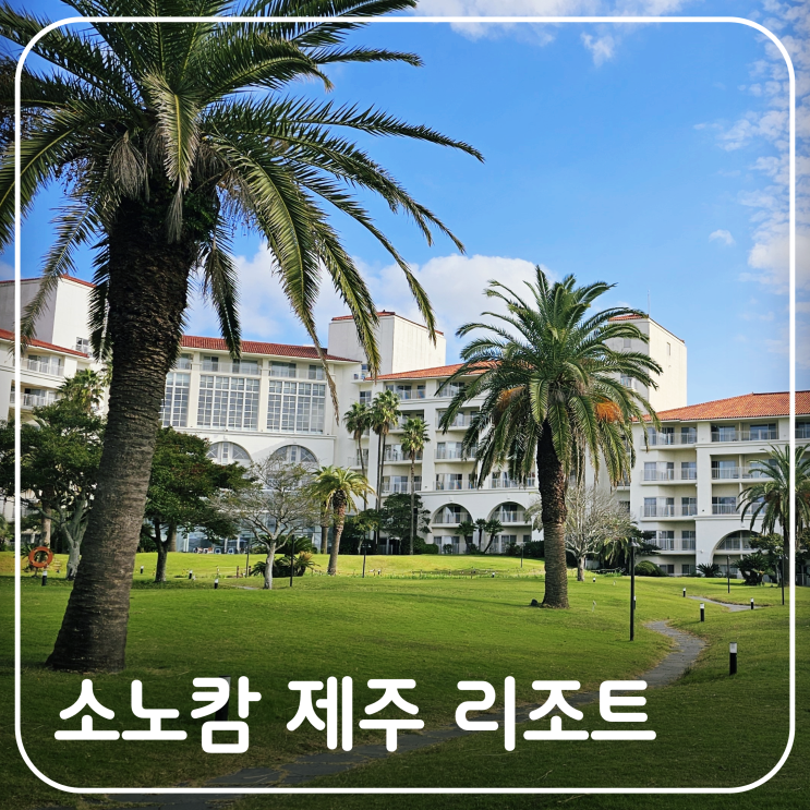 제주도 숙소 소노캄 제주 리조트 패밀리 취사형 객실 / 힐링 스팟 정원과 산책로 : 네이버 블로그