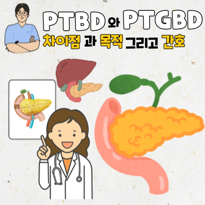 PTBD와 PTGBD 차이점 및 목적 그리고 시술 후 간호 : 네이버 블로그