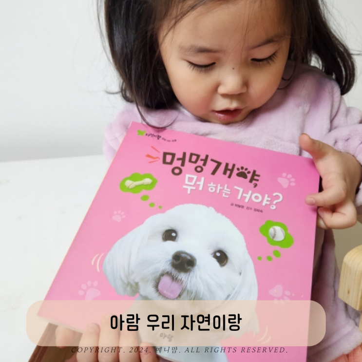 아람북스 우리 자연이랑 자연관찰책 4살책 추천 네이버 블로그