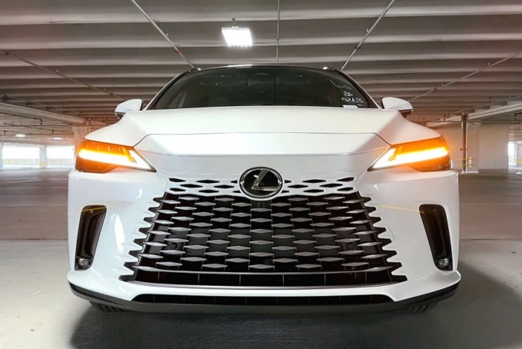 GV80 위협하는 렉서스 RX 요즘 이래서 잘 팔렸구나! : 네이버 블로그