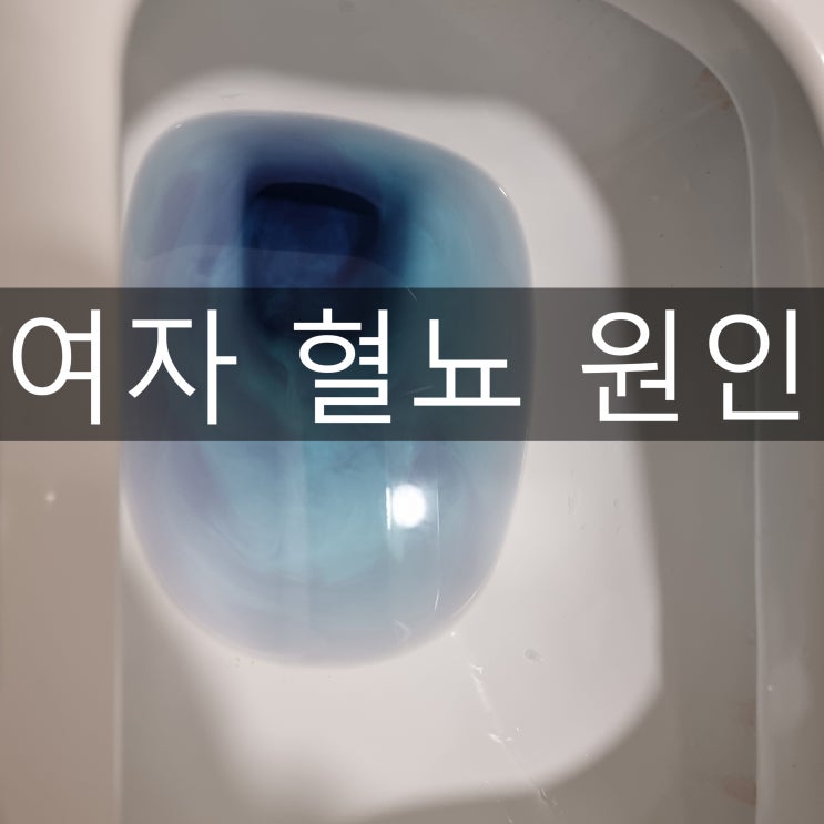 여자 혈뇨 원인 방광염” 여성분들 피 보여도 당황하지 말고 이렇게” 대처하세요 네이버 블로그