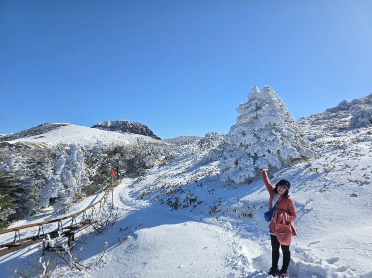 윗세오름, 어리목코스로 다녀온 겨울 한라산 눈꽃산행(with 썬렌트카) : 네이버 블로그