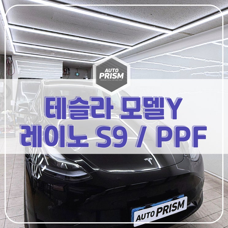테슬라 모델Y 레이노 S9 / PPF 패키지 : 네이버 블로그