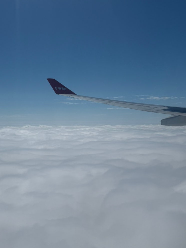 티웨이 호주 시드니 장거리 항공편 솔직 후기 (좌석 추천, TW501) : 네이버 블로그