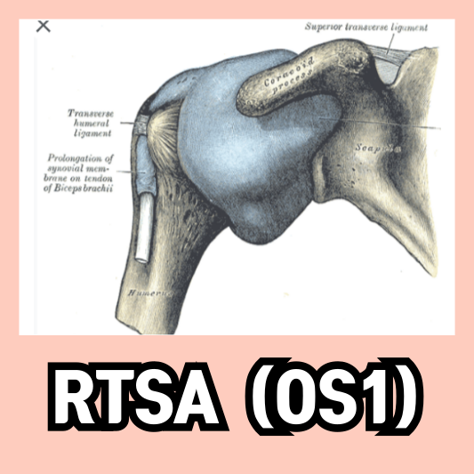 RTSA(Reverse Total Shoulder Arthroplasty) OS1 과정 : 네이버 블로그