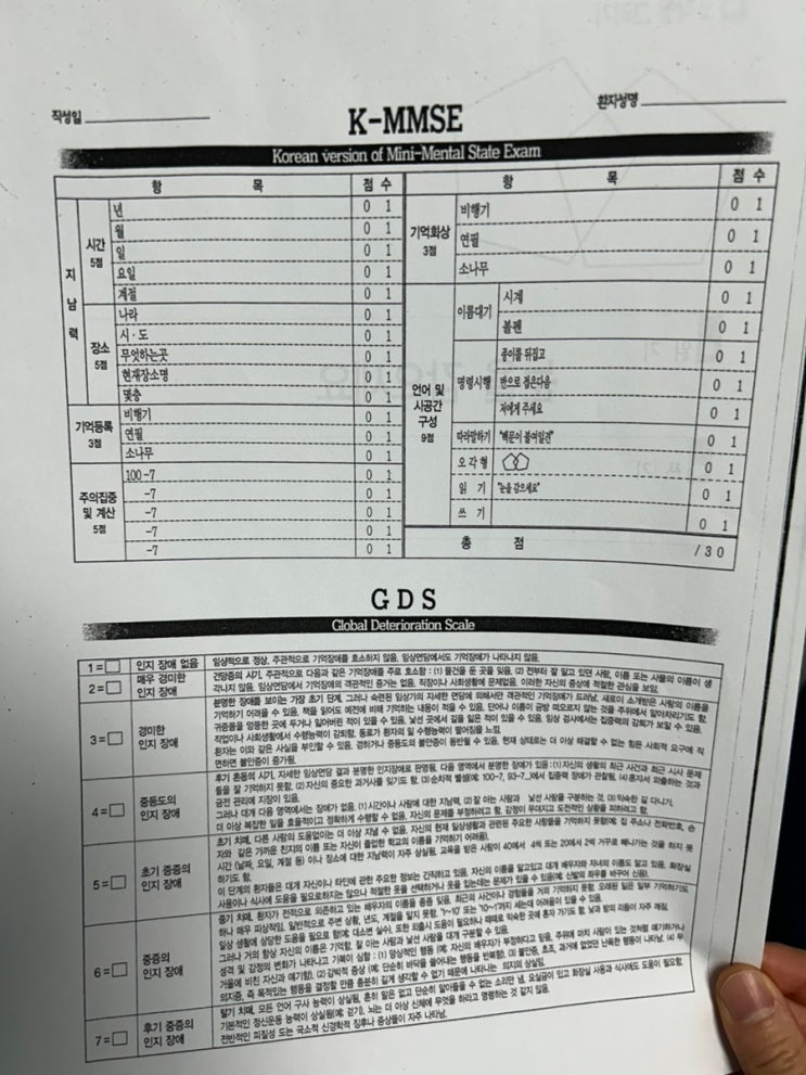 치매약 아리셉트정 심사기준- MMSE, GDS 검사 : 네이버 블로그
