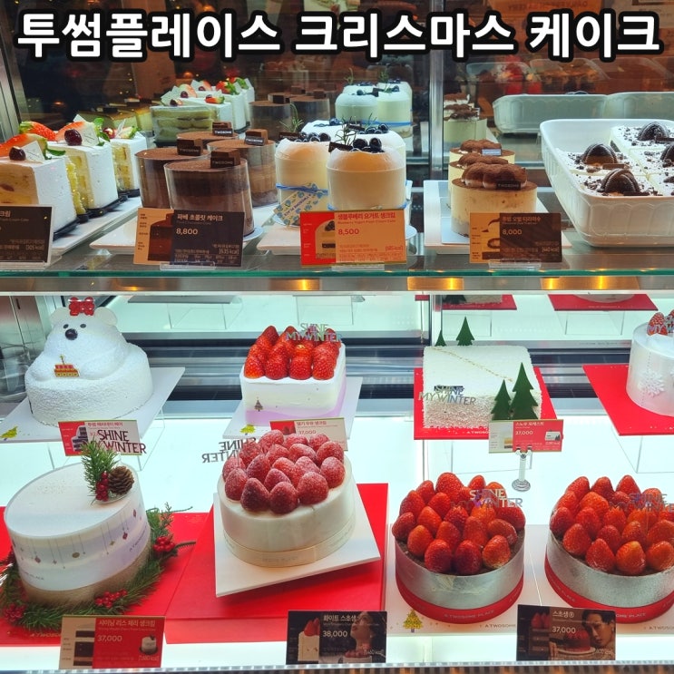 투썸플레이스 크리스마스 케이크 예약 종류 가격 할인 총정리 : 네이버 블로그
