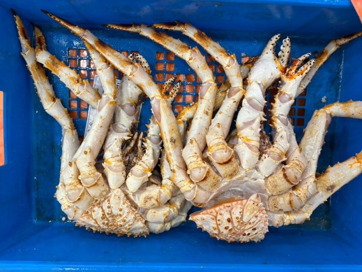 2024.12.13 문주수산 시세 : 네이버 블로그