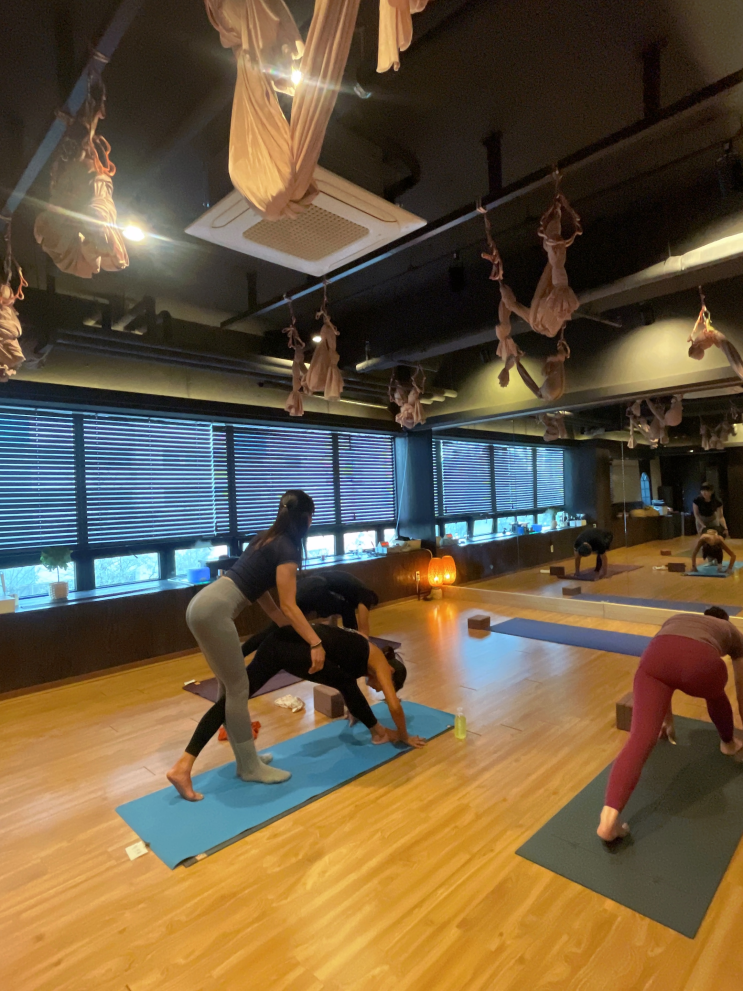 범계요가 아델요가스튜디오 범계 주말 요가 가능한곳 다이어트 몸매관리 통증 건강관리 가능한 운동요가 추천