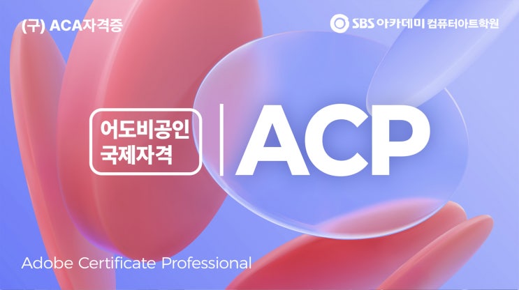 ACA 자격증의 발전 취득과정 및 ACP 자격증의 활용 분야 분석 : 네이버 블로그
