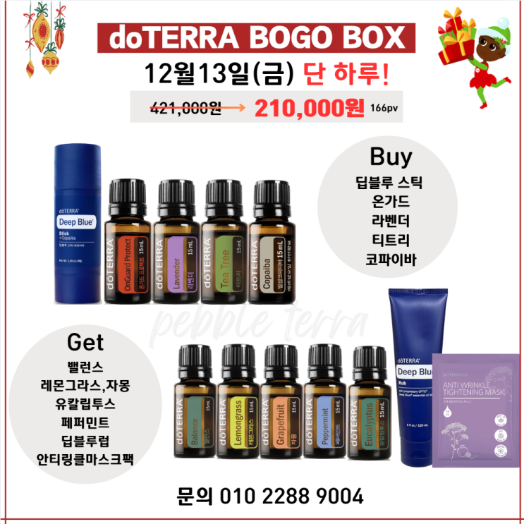 도테라 12월 Bogo Box온가드밸런스티트리라벤더코파이바페퍼민트딥블루스틱유칼립투스프랑킨센스 자몽레몬그라스