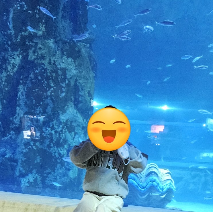 면접교섭은 진정 아이의 복리를 위한 것일까 : 네이버 블로그