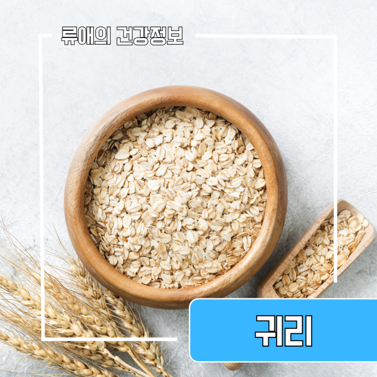 귀리효능 부작용 귀리 오트밀 효능 귀리가루 효능 네이버 블로그