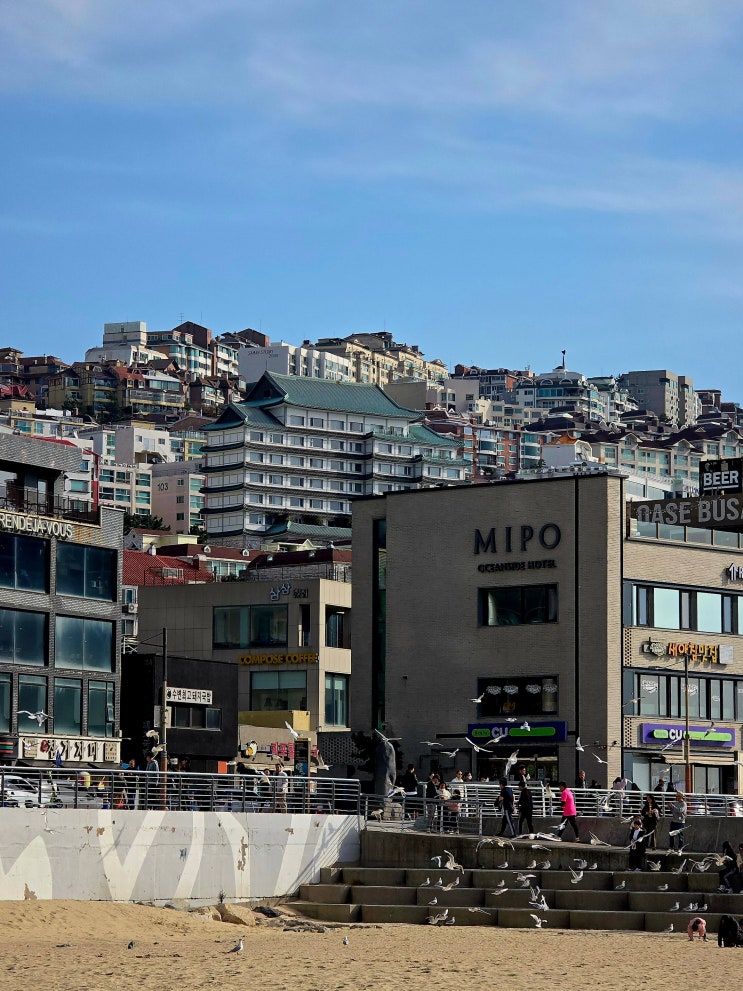 키움증권 파생결합상품(ELS, ELB, DLS, DLB) 안내 : 네이버 블로그