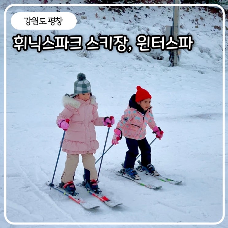 휘닉스 파크 스키장 휘팍 블루캐니언 윈터스파 그린동 스카이 스탠다드 평창겨울여행 네이버 블로그