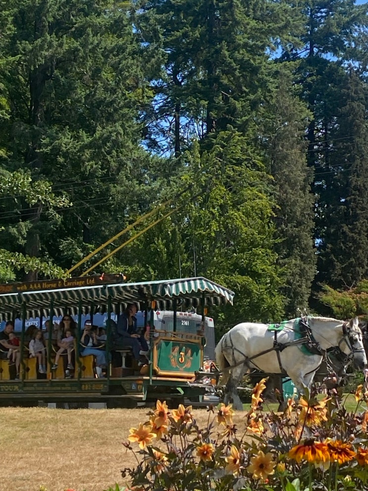 캐나다 밴쿠버 여행 추천지 : 네이버 블로그
