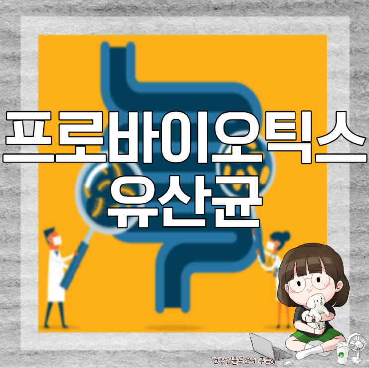 프로바이오틱스 유산균 효능 효과 장건강 섭취방법 네이버 블로그