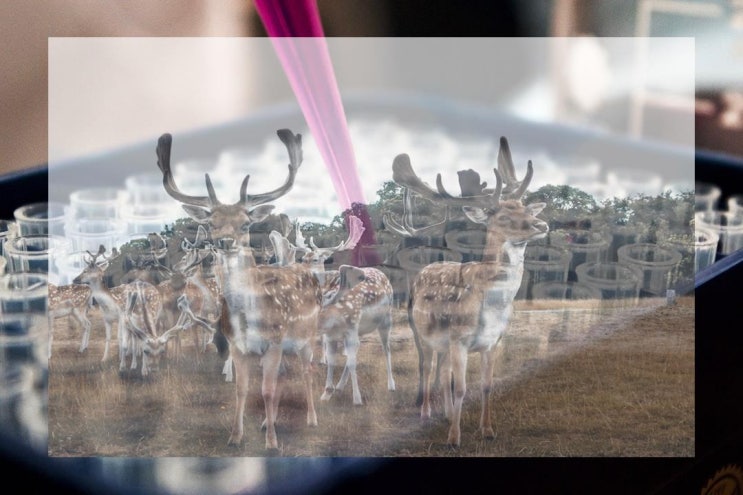 한국 정치의 현재와 미래 전망 : 네이버 블로그