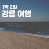 겨울바다여행 강릉여행 1박2일 ㅣ 경포대 핫플 경포마켓 연주포차 분위기최고 네이버 블로그