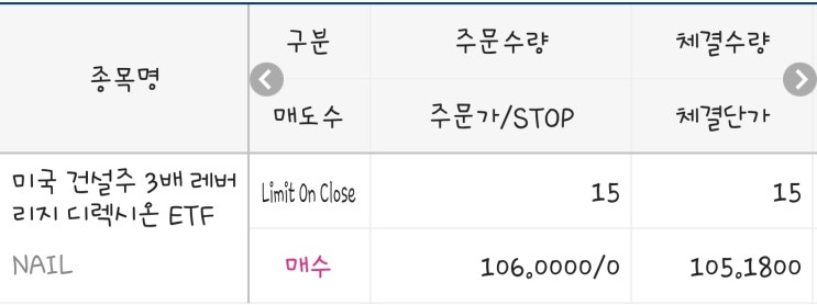 로루아빠 미국주식 3배 레버리지 ETF NAIL 투자기 12/17~1/16 : 네이버 블로그