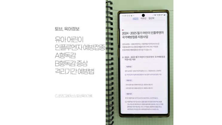 유아 어린이 인플루엔자 예방접종 A형독감 B형독감 증상 격리기간 예방법 네이버 블로그