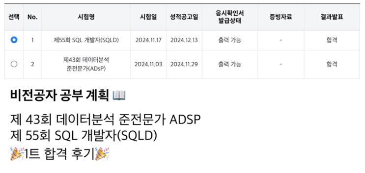 ADSP, SQLD 독학 1트 합격 후기 : 네이버 블로그