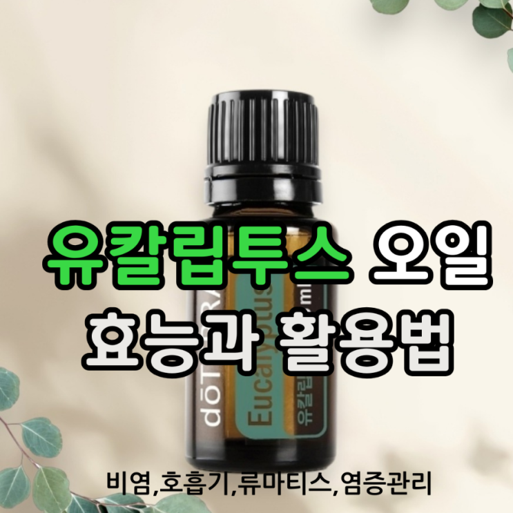 기관지 비염 관리 도테라아로마 유칼립투스오일로 겨울철 보내기 효능과 사용법 함께 알아보아요 네이버 블로그