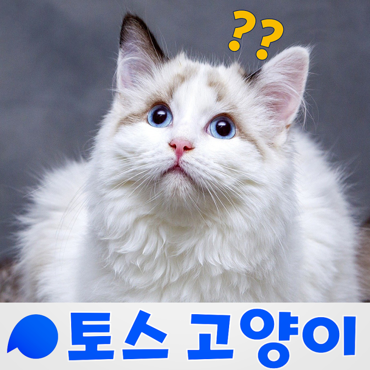 토스 고양이 키우기 레벨 업 꿀팁 스타벅스 쿠폰 받기 방법 네이버 블로그