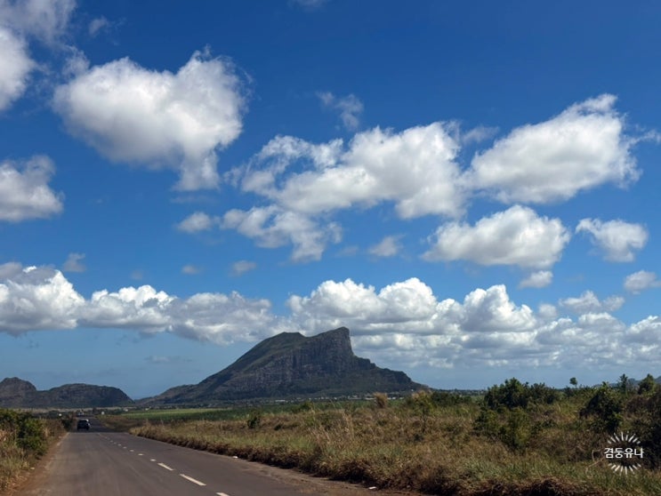 모리셔스 신혼여행 자동차 렌트 | OLA렌트카 (주유 방법/구글지도) : 네이버 블로그