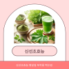 신선초효능 명일엽 부작용 먹는법 네이버 블로그