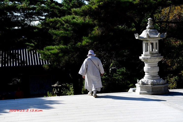 100대 명산] 예산 덕숭산 산행, 수덕사주차장-수덕사-정상-견성암-수덕사주차장(1) : 네이버 블로그