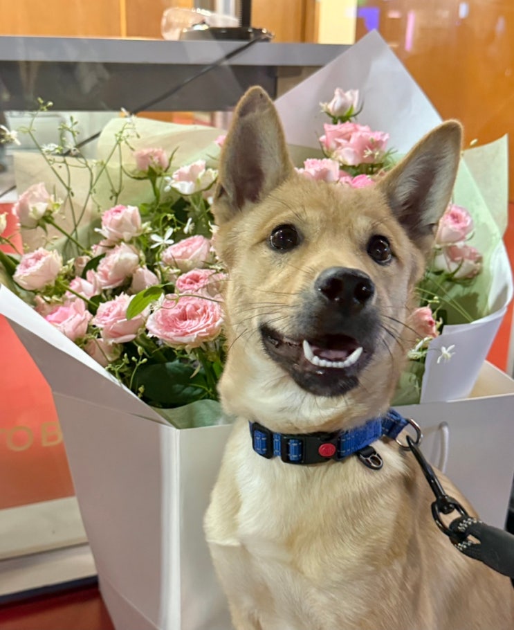 nal,log 일상 : 네이버 블로그