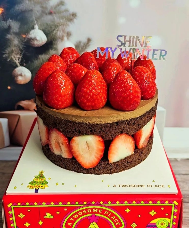 투썸플레이스 케익 메뉴 스초생 프레지에 투썸 크리스마스 케이크 추천 : 네이버 블로그