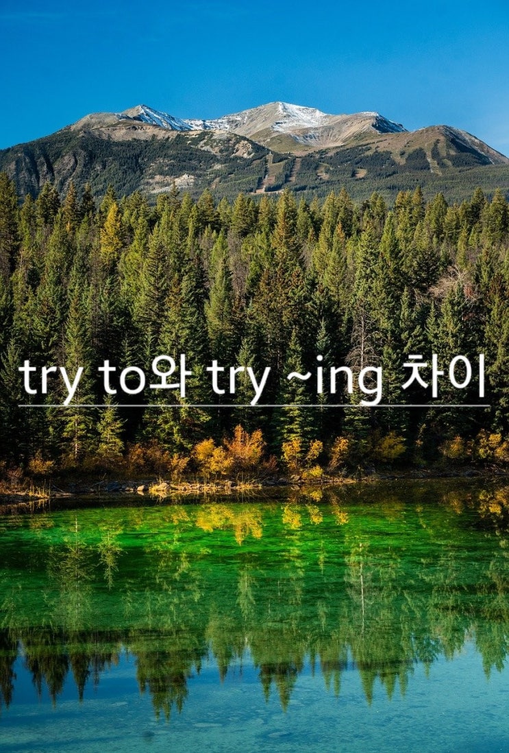 try to와 try ~ing의 차이 : 네이버 블로그